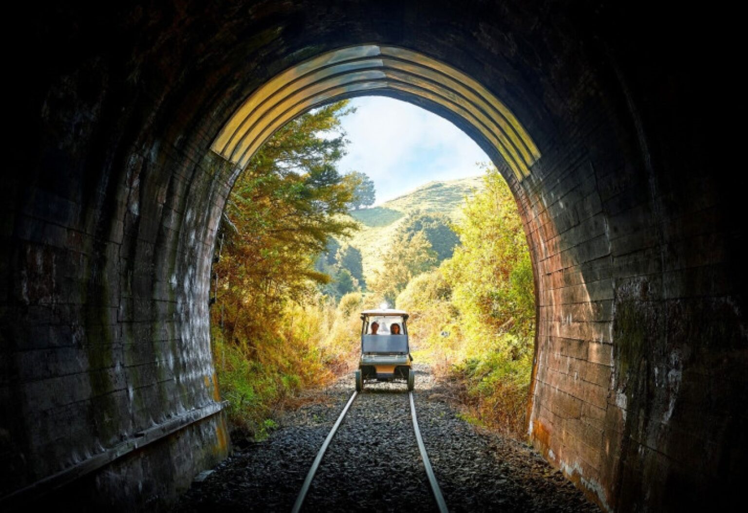 Guided Rail Cart Experiences | North Island | New Zealand