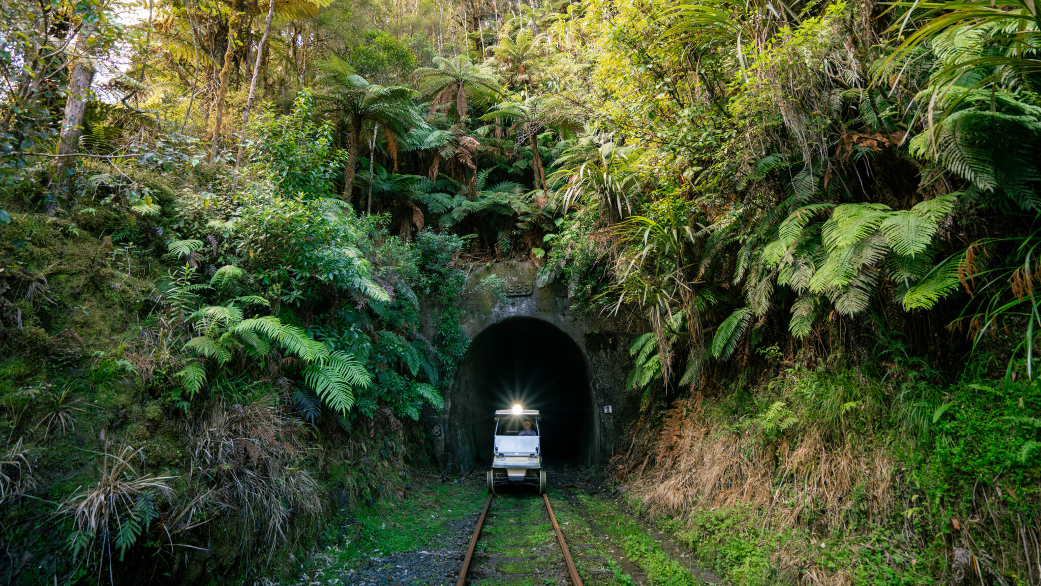 Explore the Hidden Beauty of New Zealand by Rail with Forgotten World ...